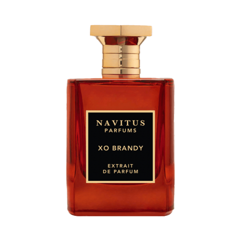 XO BRANDY - Navitus Parfums